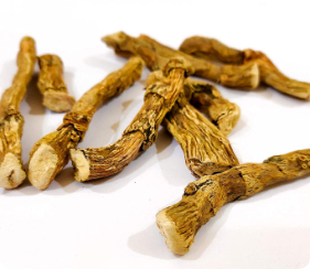 What is Elixir of Life – The Secret siddha